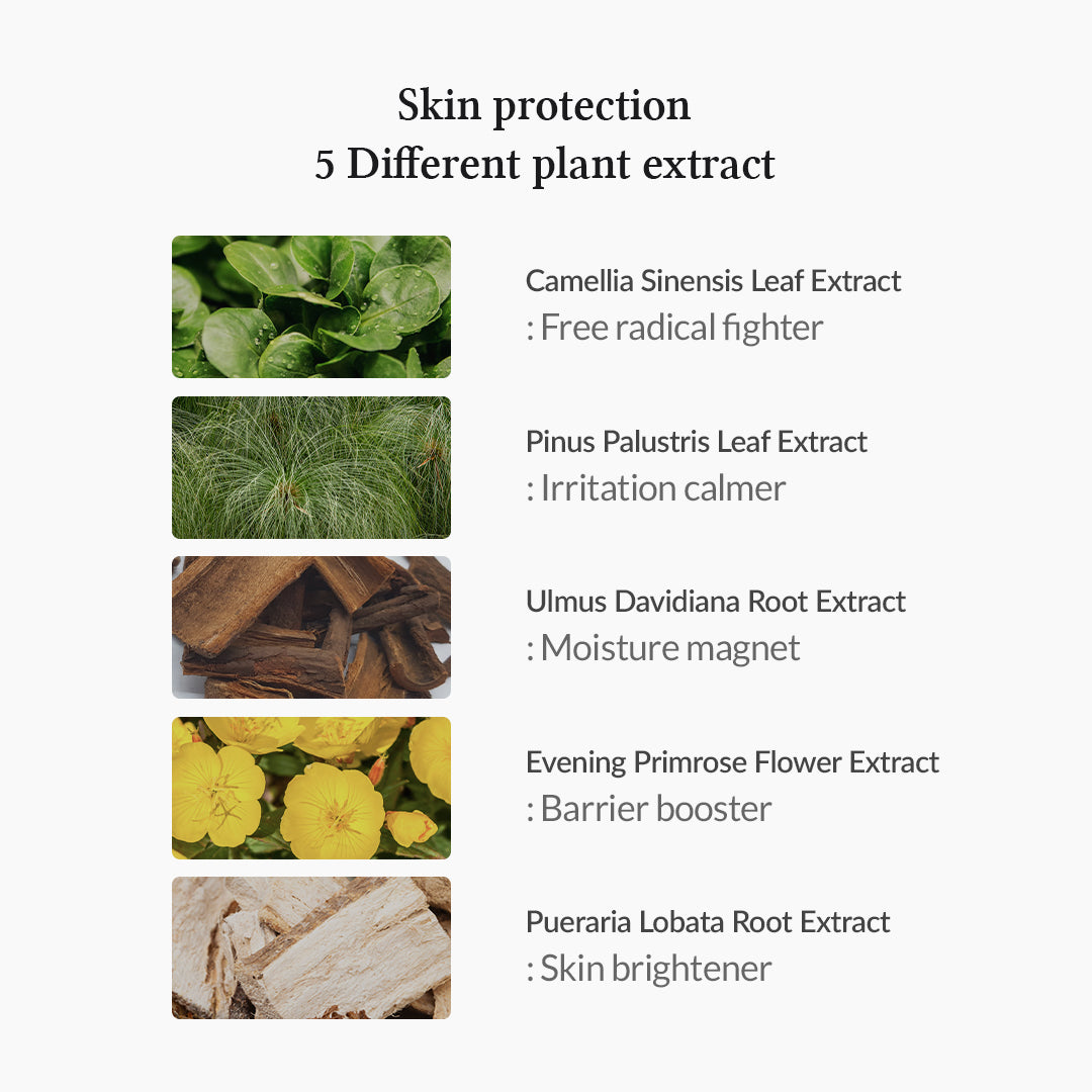 15% Calamine Spot Powder – DR.ALTHEA