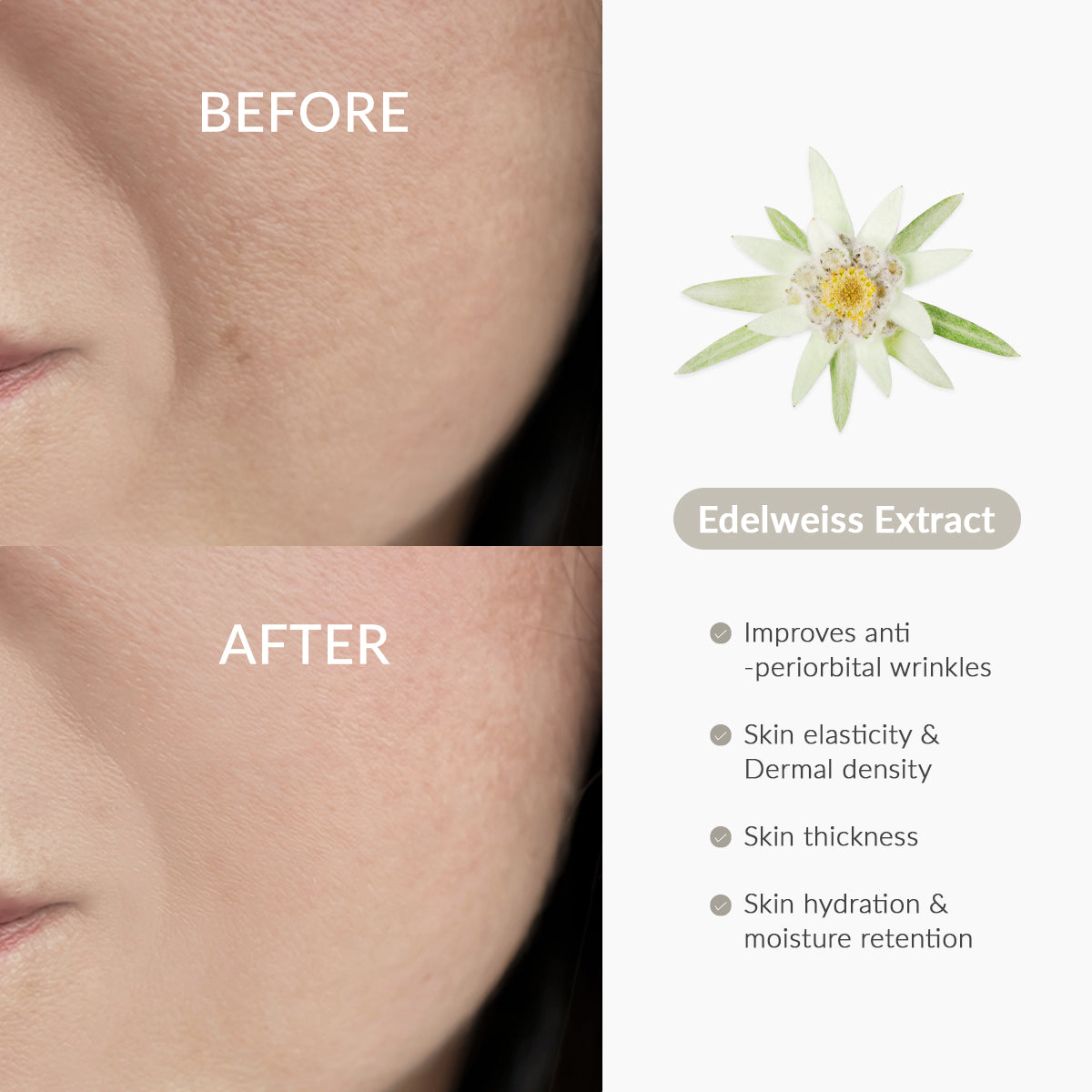 Facebook Pinterest Twitter